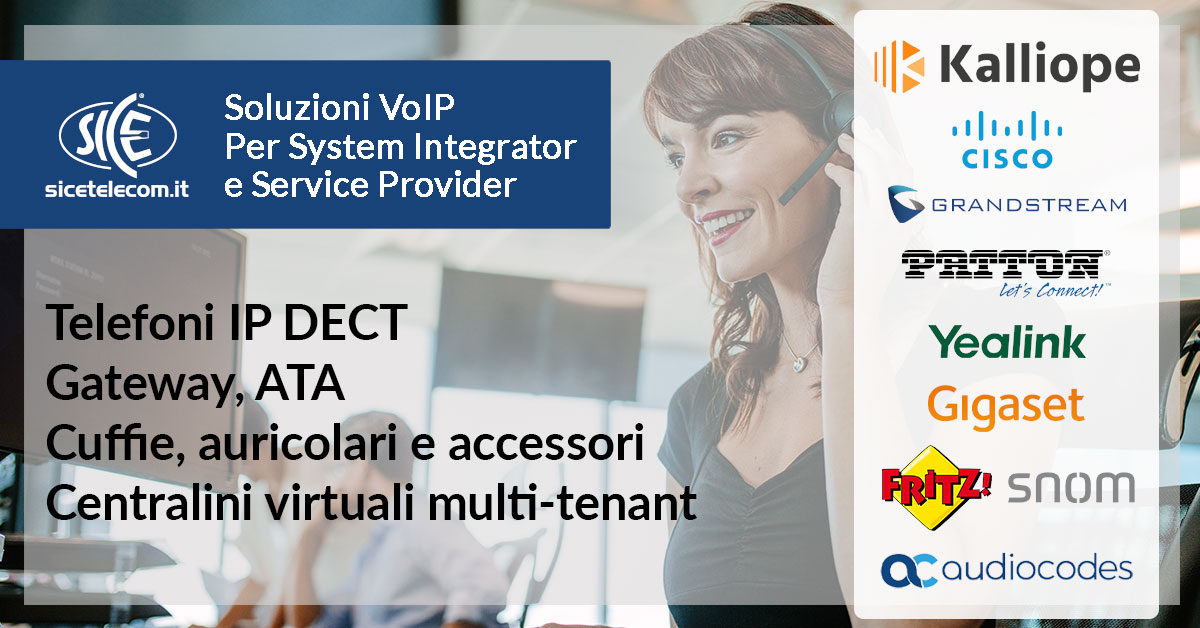 Centralini VoIP, telefoni IP, DECT, gateway, ATA per System Integrator ...